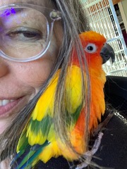 Featured Volunteer: Michele Kraemer | Mickaboo